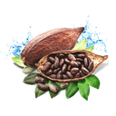 Live Cocoa Price & Charts | CommodityPriceAPI