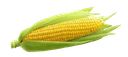 Live Corn Price & Charts | CommodityPriceAPI