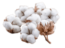 Live Cotton Price & Charts | CommodityPriceAPI