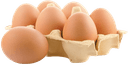 Live Eggs US Price & Charts | CommodityPriceAPI